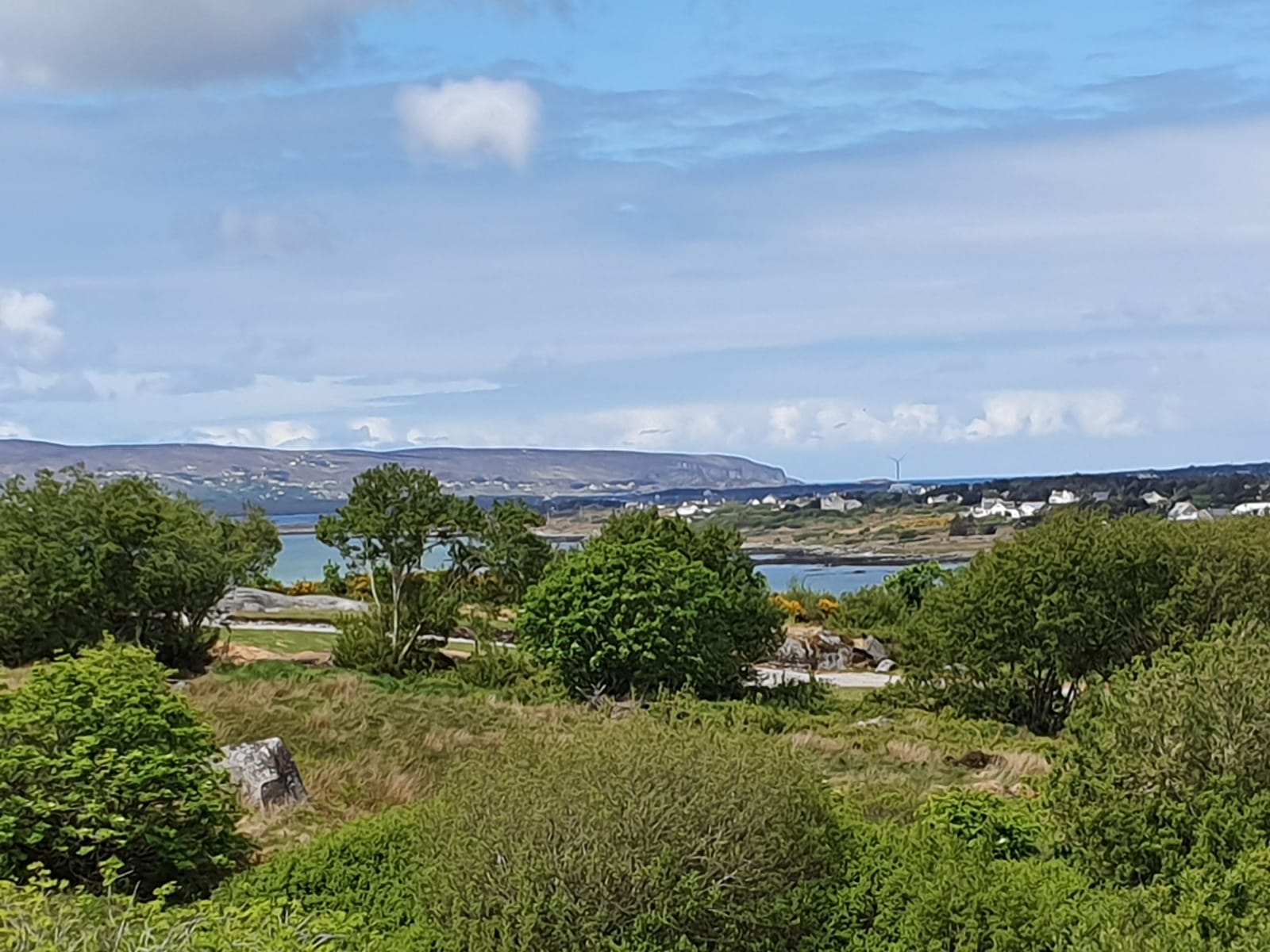 Mullis – View of Aranmore from house | McBride Auctioneers