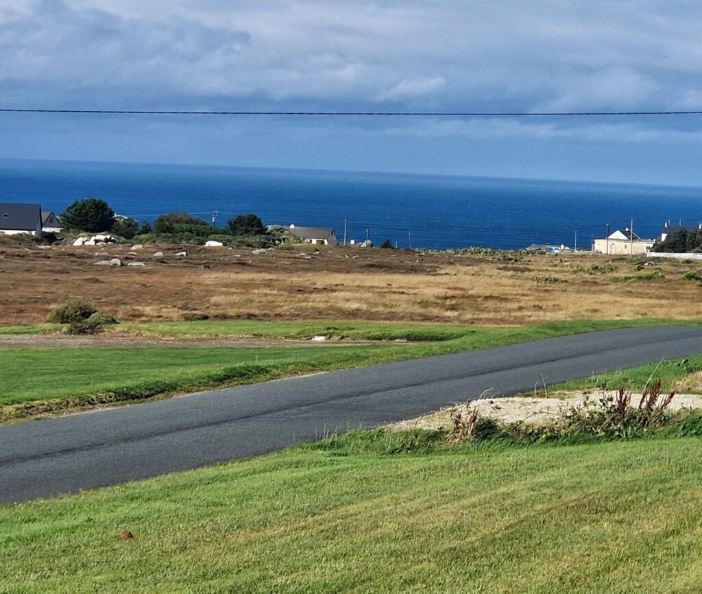 CP31 | McBride Auctioneers